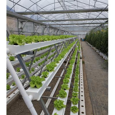 China 2-5m Shoulder Height High Tunnel Sawtooth Greenhouse for Commercial Plant Cultivation for sale