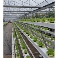 China 2-5m Shoulder Height High Tunnel Sawtooth Greenhouse for Commercial Plant Cultivation for sale