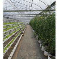 China 2-5m Shoulder Height High Tunnel Sawtooth Greenhouse for Commercial Plant Cultivation for sale