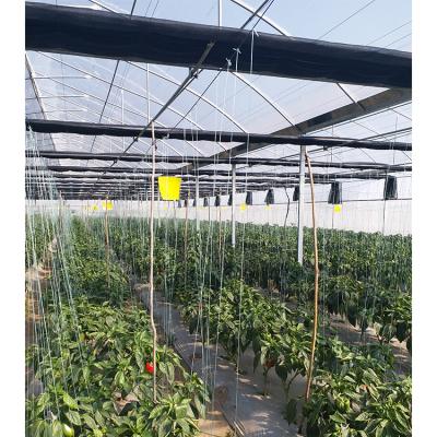 China Single Span Greenhouse 8-12m Wide with 90mph Wind Resistance for sale