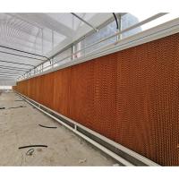 China Vegetable Cultivation Plastic Tunnel Greenhouse 12m Width Single Layer for sale