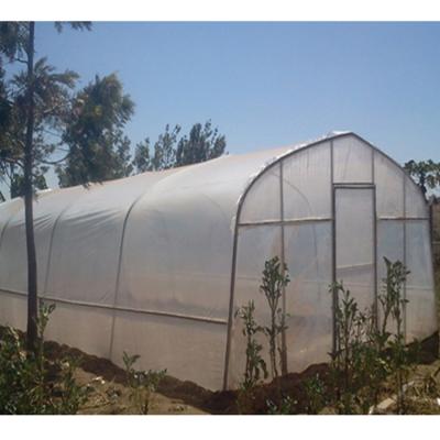 China Single Span Greenhouse Flat Roof 30m-56.5m Length with Roof Vent for sale