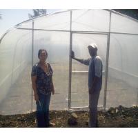 China Single Span Greenhouse 41.5m Length 8-12m Width 90mph Wind Resistance for sale