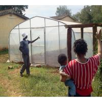 China Single Span Greenhouse 39m Length with 90mph Wind Resistance for sale