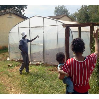 China Single Span Greenhouse 39m Length with 90mph Wind Resistance for sale