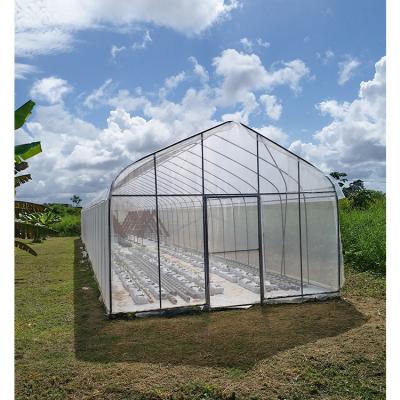 China Single Span Greenhouse 8-12m Width with 90mph Wind Resistance for sale