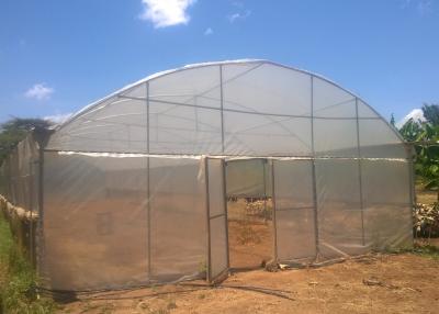 China Single Span Greenhouse 8-12m Wide with 90mph Wind Resistance for sale
