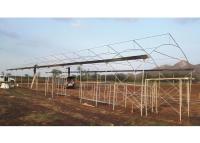 China Single Span Greenhouse 8-12m Wide with 90mph Wind Resistance for sale