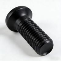 China Brushed Surface Finish Custom Stainless Steel Bolts Heat Resistant for sale