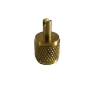 China 1/4'' Threaded Brass Cap for Access Valve Filter Drier Valve New Condition for sale
