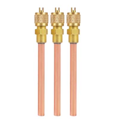 China Hailiang Copper Charging Access Valve 1/2