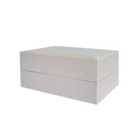 China Double Slot Wrist Watch Packaging Boxes Plastic Partial Hard Gift Box For Lover for sale