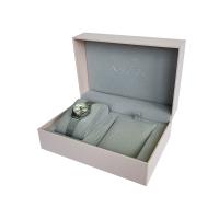 China Double Slot Wrist Watch Packaging Boxes Plastic Partial Hard Gift Box For Lover for sale