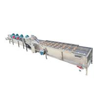 China Vegetable Washing and Drying Machine Fresh Fruit Vegetable Processing Units Low Consumption High Efficiency Dried Products 5.1KW for sale