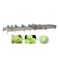 China Vegetable Washing and Drying Machine Fresh Fruit Vegetable Processing Units Low Consumption High Efficiency Dried Products 5.1KW for sale