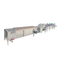 China fruit and vegetable washing and drying machine for sale