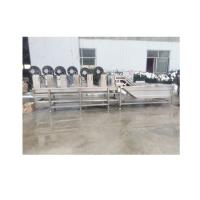 China Hotsell Prune Cleaning Washing Production Line/Dried Prune/Apricot/Raisin Washer Sterilizer Dryer Machine Plum Processing Line for sale