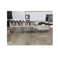 China 1000kg/hr Industrial Full Automatic IQF Frozen Green Peas Processing Machine Turkey Line Factory Price for Sales for sale