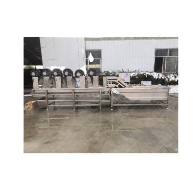 China 1000kg/hr Industrial Full Automatic IQF Frozen Green Peas Processing Machine Turkey Line Factory Price for Sales for sale
