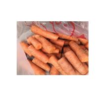 China Broccoli Cauliflower Washing Cutting IQF Machine Pepper Kale Washing Processing Line Okra Blanching Machine Green 2020 Provided for sale