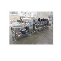 China Industrial Fresh Vegetable Fruits Cleaning And Drying Processing Line Washing Machine For Sale for sale