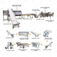 China Half-Fried Potatoes Line Capacity 500Kg Potato French Fries Line Gas Frying Automatic Frozen French Fry Productionn Line Machine for sale