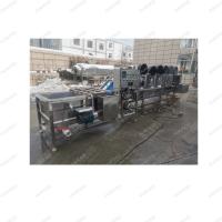 China Top Quality Vertical Intestine Washing Machine For The Food Industry for sale
