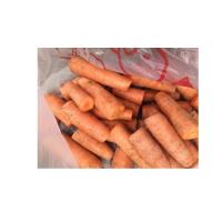 China iron cans glass jar PET plastic bottle automatic canned tomato tin canning production line for sale