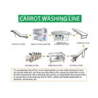 China stainless steel onion powder line onion slicing washing drying processing machine for sale