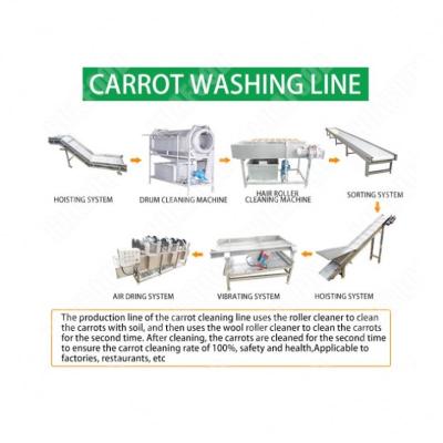 China stainless steel onion powder line onion slicing washing drying processing machine for sale