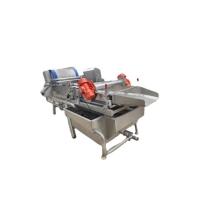 China Automatic Fruit and Vegetable Wool Roller Bubble Cleaning and Drying Production Line for sale