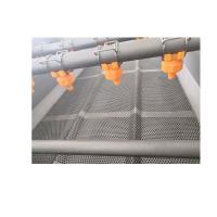 China Automatic Fruit and Vegetable Wool Roller Bubble Cleaning and Drying Production Line for sale