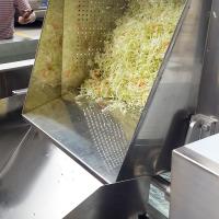 China Hot selling Fruit Vegetable Washing Machine / Industrial Vegetable Fruit Washing Machine / Fruit Vegetable Washer for sale