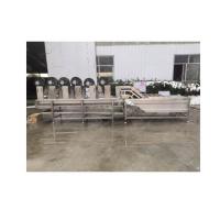 China Automatic With Cooling System Vegetable Lettuce Cassava Yam Banana Potato Chips Fries Steam Conveyor Hot Water Blanching Machine for sale