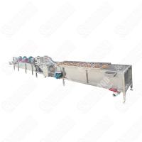 China Commercial Potato Carrot Washing Machine Potato Washing Machine Carrot Washing Machine for sale