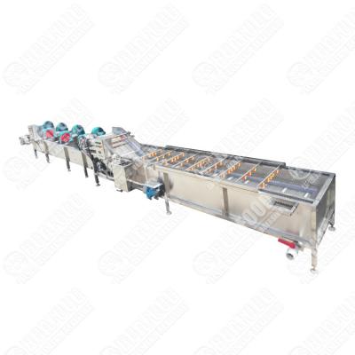 China Industrial Drying Onion Powder Processing Line Onion Powder Making Equipment Dragon Fruits Washing Machinery for sale