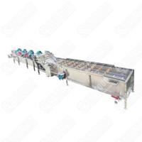 China Farm Dragon Fruits Washing Drying Machine Dragon Fruits Washing Machine Dragon Fruits Washing Drying Line for sale