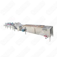 China Farm Cherry Processing Equipment Fruits Washing Line Blueberry Production Machine for sale