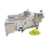 China Salad Vegetable Eggshell Washing Machine Ce for sale