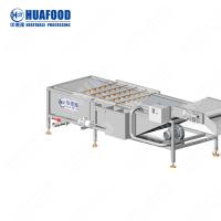 China Vegetable Washing Line Vortex Type Vegetable Salad Lettuce Parsley Chili Cucumber Carrot Onion Radish Cleaning Machine for sale