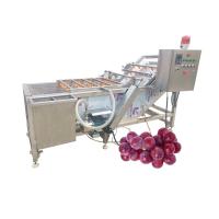 China Fruit And Vegetable Production Line Cutting Washing Drying Frozen Line Salad Processing Line for sale