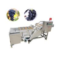 China Fruit And Vegetable Production Line Cutting Washing Drying Frozen Line Salad Processing Line for sale