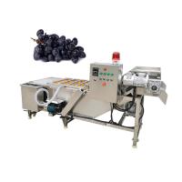 China Fruit And Vegetable Production Line Cutting Washing Drying Frozen Line Salad Processing Line for sale