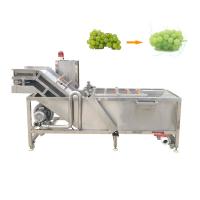 China Fruit And Vegetable Production Line Cutting Washing Drying Frozen Line Salad Processing Line for sale