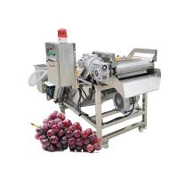 China Fruit And Vegetable Production Line Cutting Washing Drying Frozen Line Salad Processing Line for sale