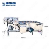 China Aquatic Delicate Frame Vegetable Equipment Pepper Cleaning Vegetable and Fruit Salad Air Bubble Washing Machine for sale