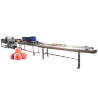 China Hot selling Factory Direct Fruit And Vegetable Bubble Cleaning Machine by Huafood for sale