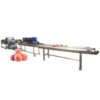 China Hot selling Industrial Fruit Vegetable Photo Lettuce Pressure Washer by Huafood for sale