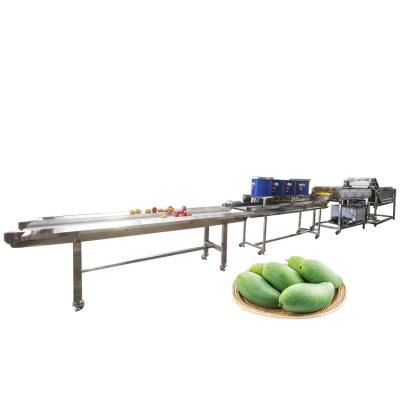 China Hot selling Banana Washing Machine / Red Onion Cleaning Machine by Huafood for sale