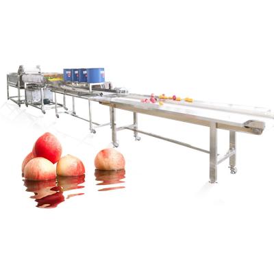 China Hot selling Fruit And Vegetable Purifier Washer Water Purifier by Huafood for sale